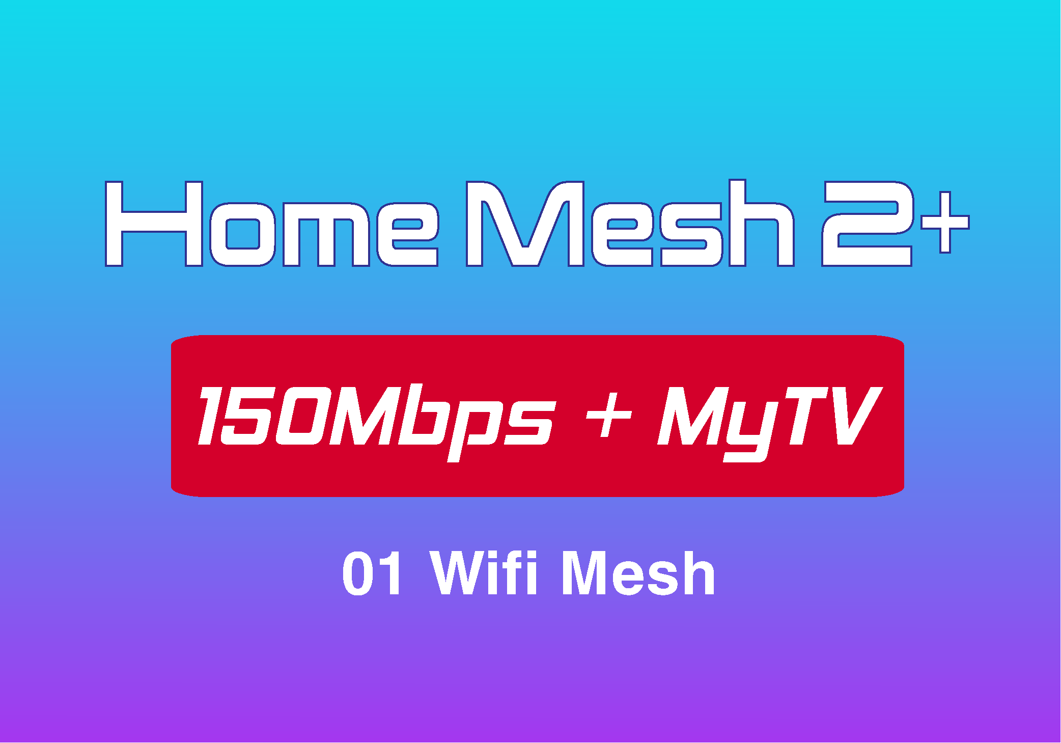 Home Mesh 2+